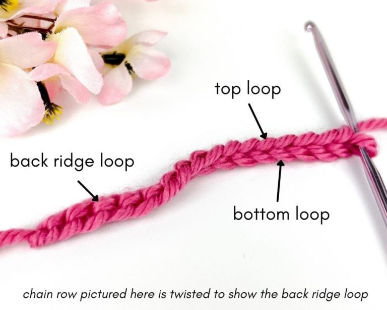 How to Crochet in the Chain & Back Ridge Loops - Made Easy! | Jo to the ...