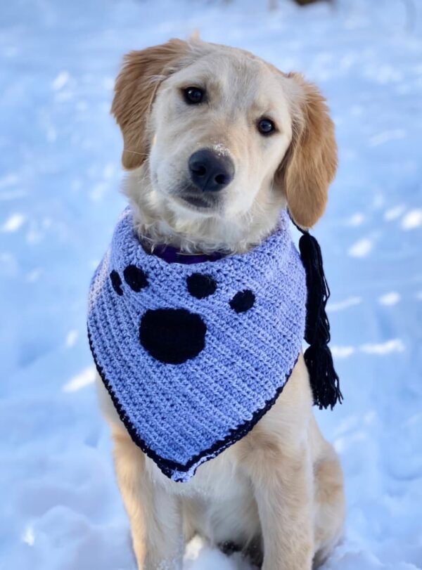 25+ Free Crochet Patterns for Dogs and Dog Lovers | Jo to the World ...